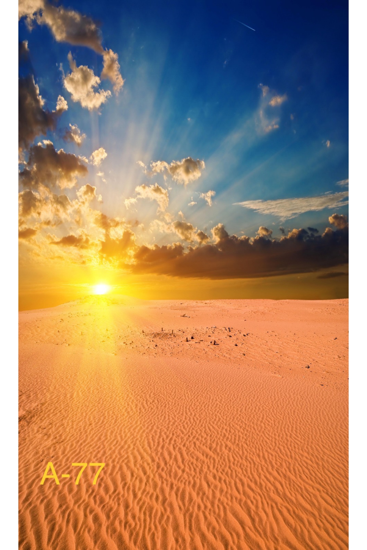 N.Gage Digital Printed Backdrops-A-77 | Imaginext