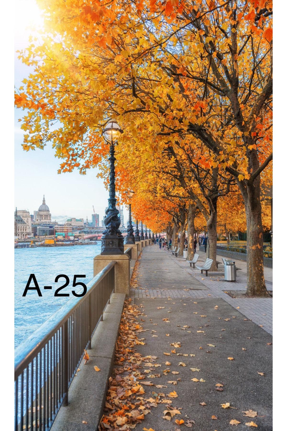 N.Gage Digital Printed Backdrops-A-25 | Imaginext